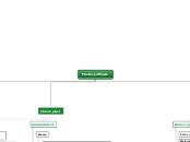 Photosynthesis - Mind Map